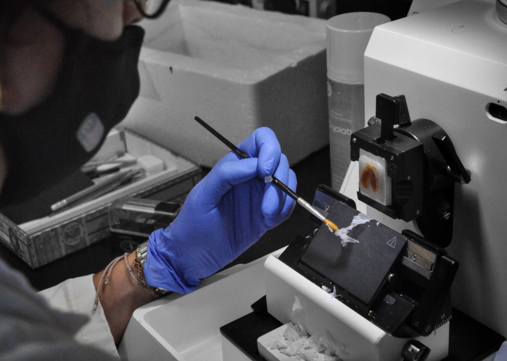 Exposición virtual eLABÓRATE: “Laboratorios UCA y sus Técnicos” – Laboratorios Técnicos