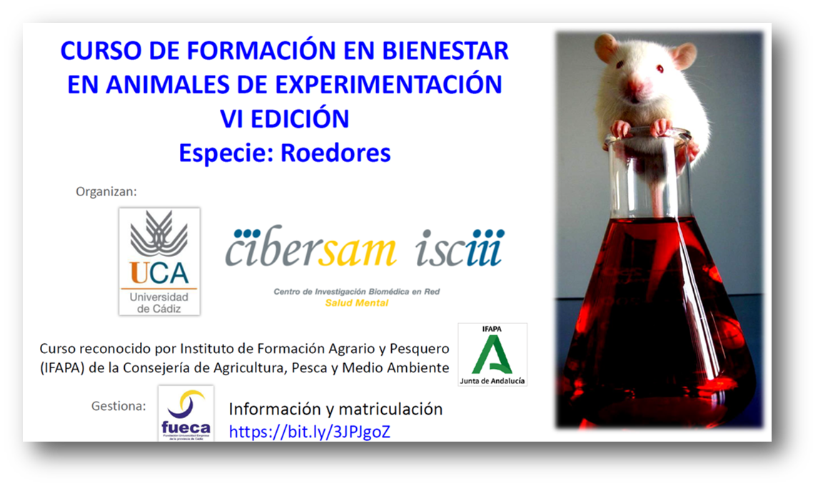 Curso de formación en bienestar en animales de experimentación – III ...