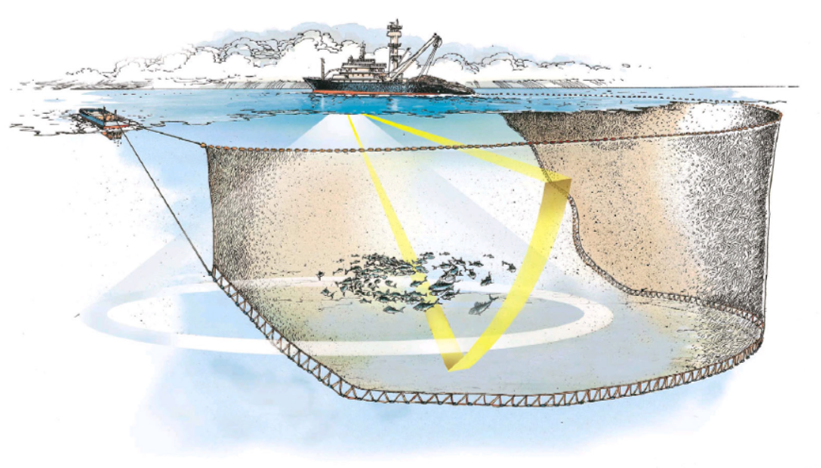 Laboratorios Técnicos – Sitio web de la Universidad de Cádiz